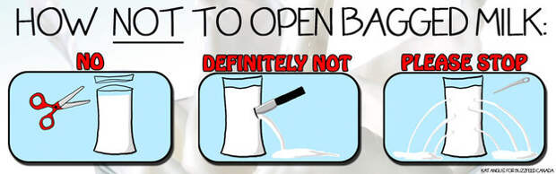 Here's The Official Step-By-Step Guide To Opening Bagged Milk - Обсуждение статьи - 5 ноября ...